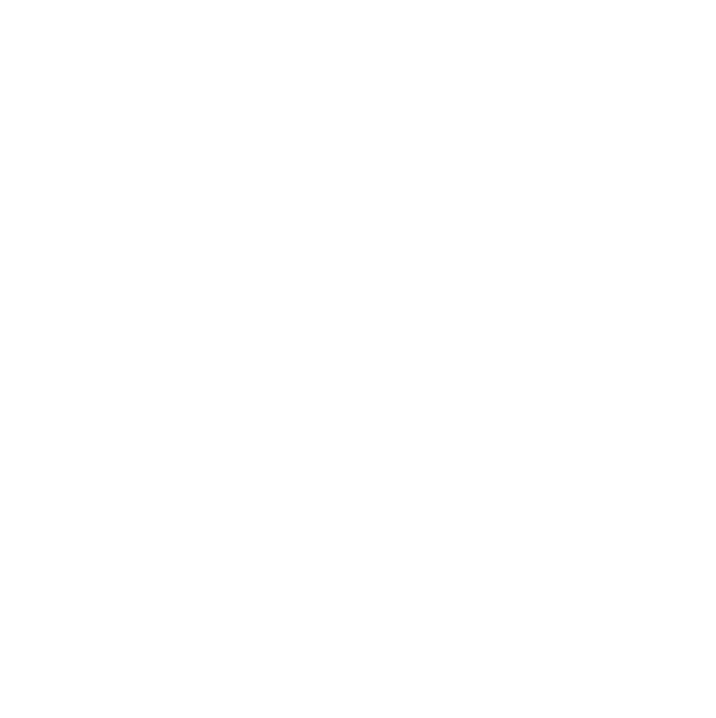 Puma Nxt Hoops - LaSalle Guardians