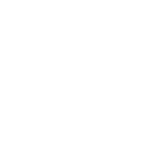 Puma Nxt Hoops - LaSalle Guardians