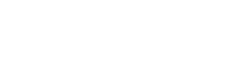 Puma Nxt Hoops - LaSalle Guardians